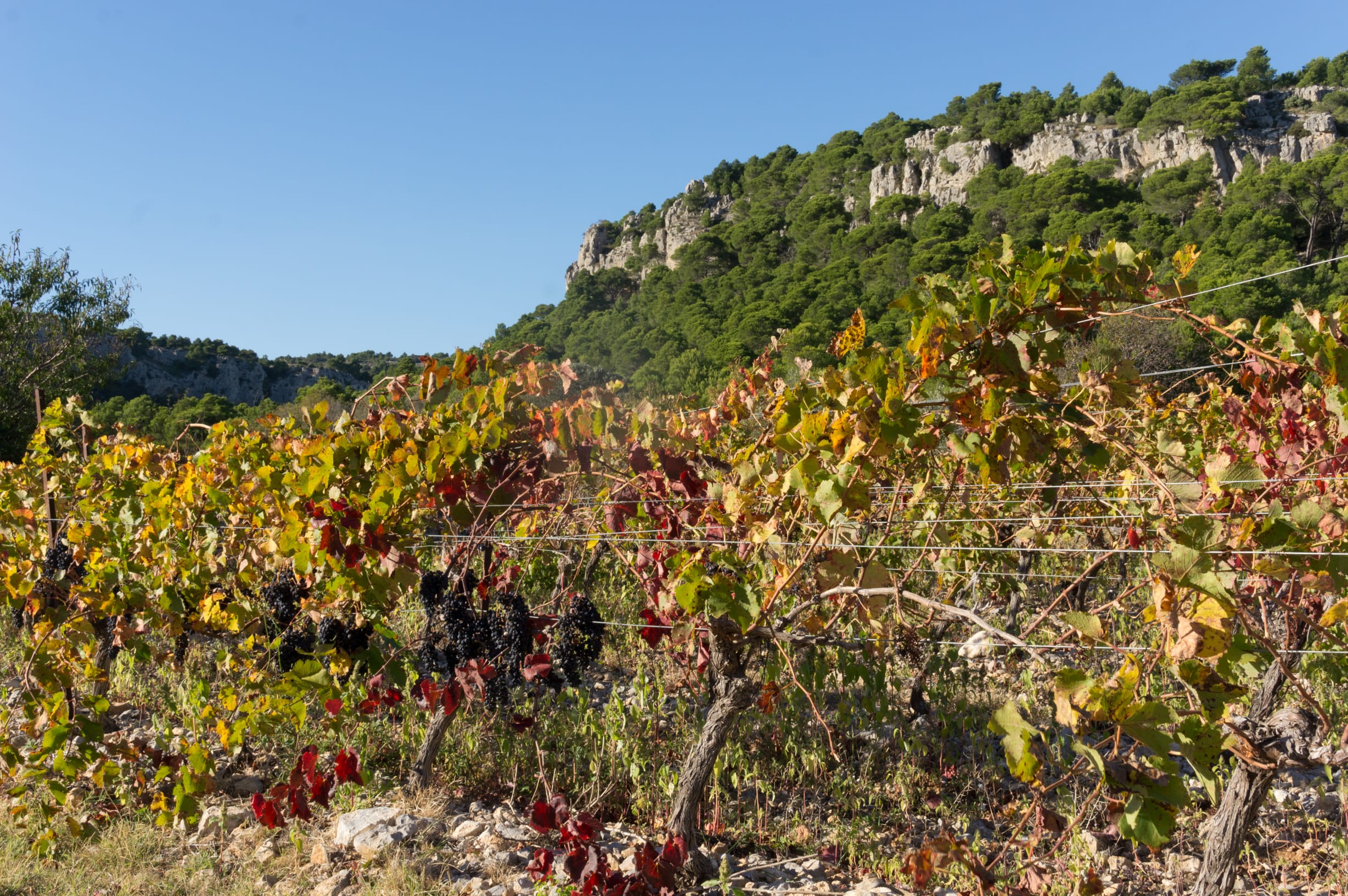 Gallerie: Le vallon de la Goutine