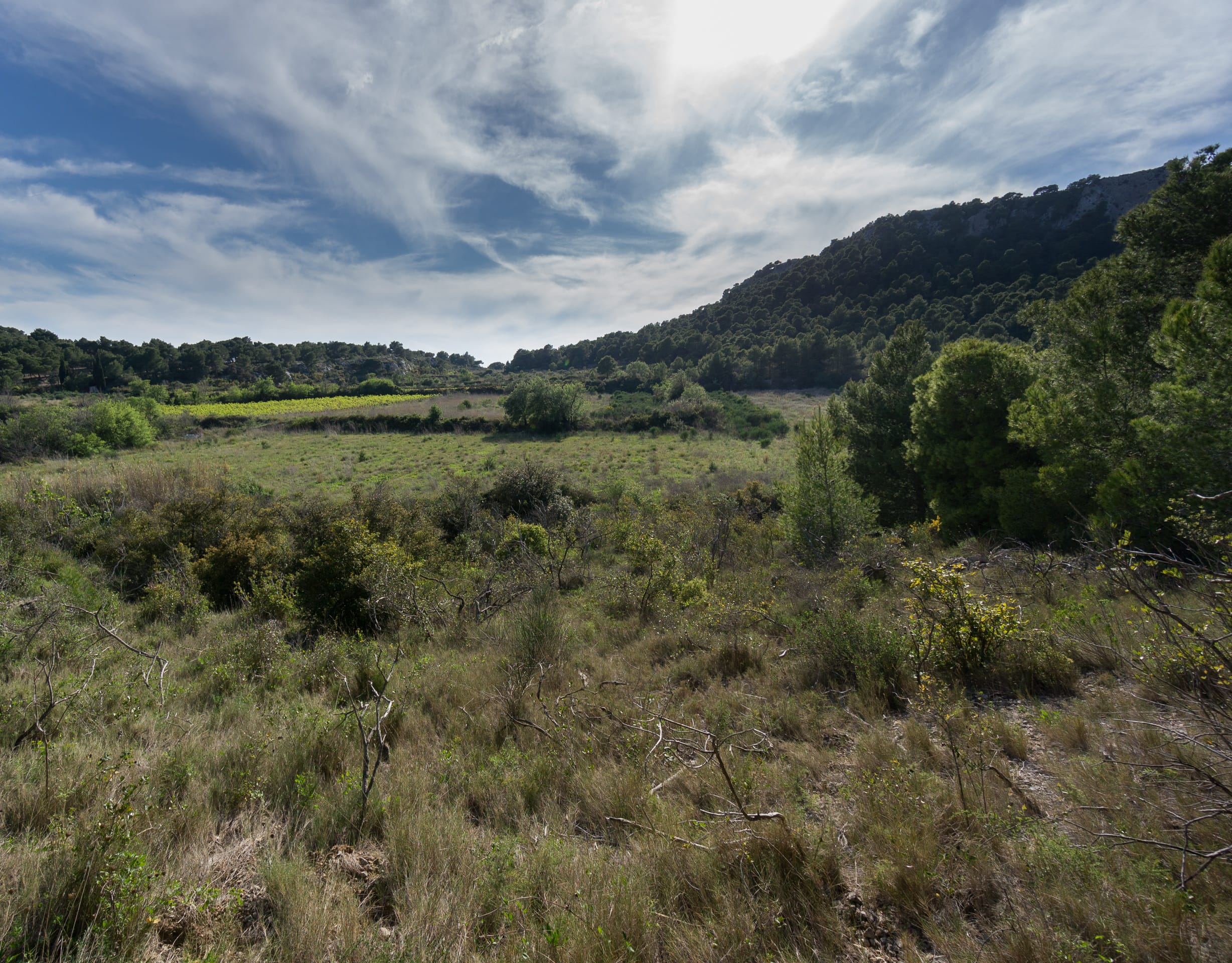 Gallerie: Le vallon de la Goutine